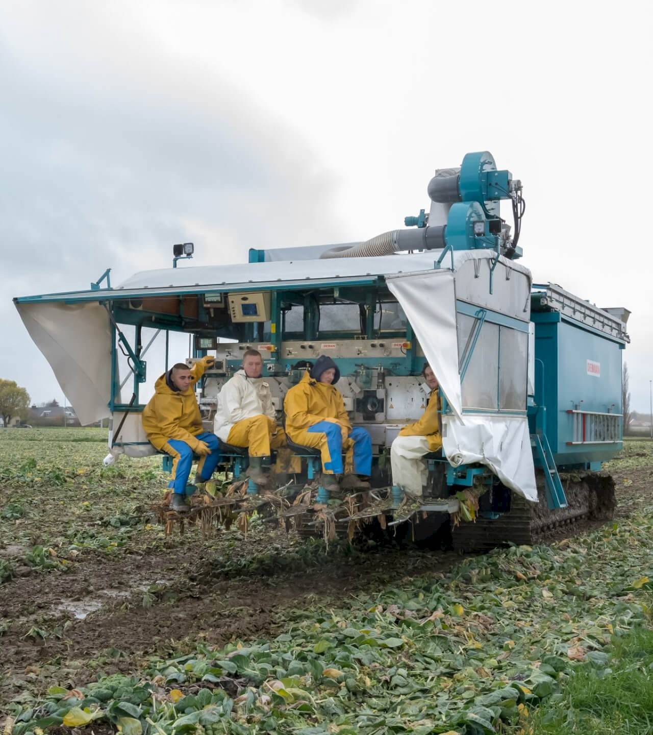 ZP4-OS: Self-driving sprout harvester IV-row Optisort | Deman